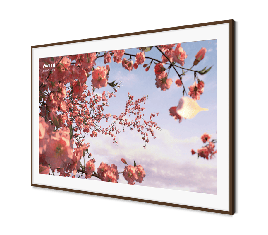 Leon and Sony launch new Solé TV Frame for BRAVIA 7 - Essential Install